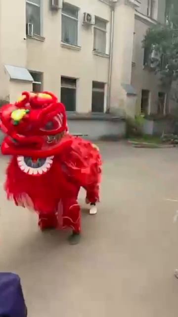 🎉 В нашей школе стартовал Summer Camp с китайской сменой!