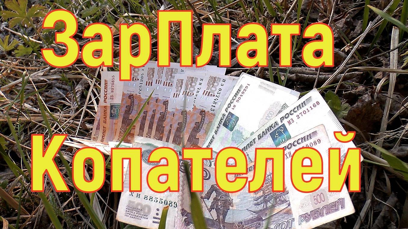 Сколько можно заработать с металлоискателем