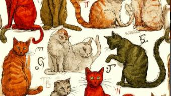 кот и время