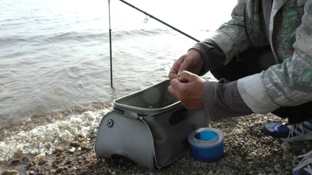 Ловля леща в июне. Новая находка на  берегу. Забрался в кусты проверить новое место