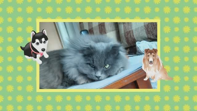 Кошкины секреты