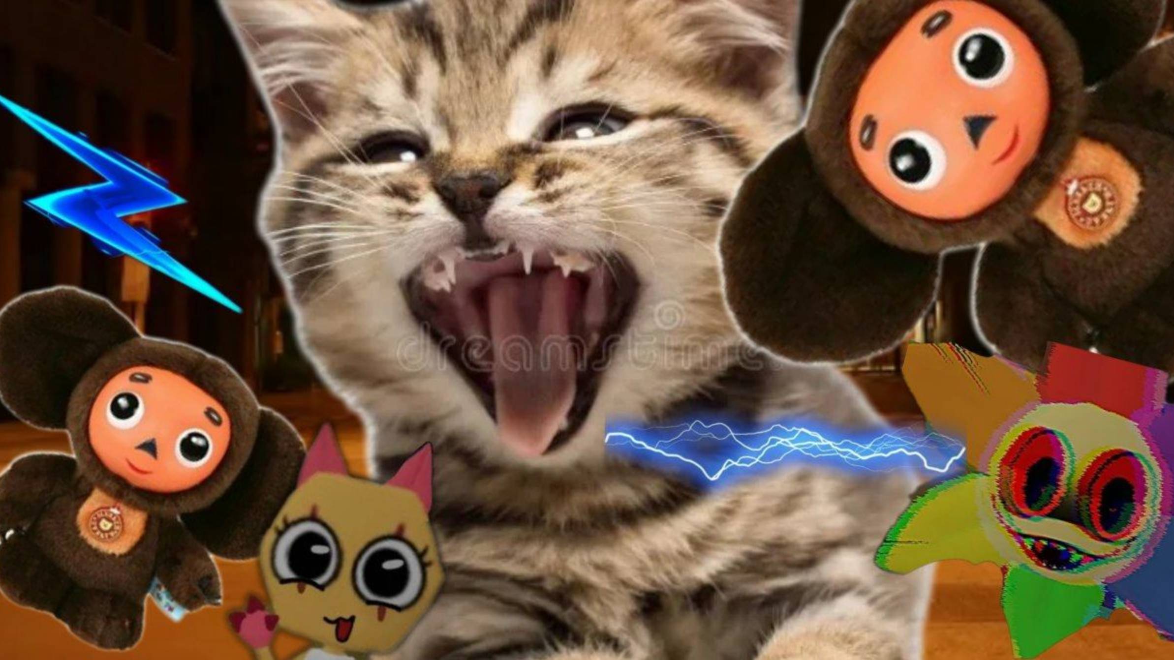 НИКОГДА НЕ ЗВОНИ ЧЕБУРАШКЕ!!! ЕЁ НОМЕР ДЛИНННЫЙ!? СПАСЛА ЖИЗНЬ КОШКАМ КОШЕЧКА АВРОРА!