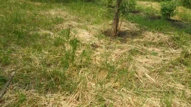 Скит Свято-Введенского женского монастыря в Ивановке