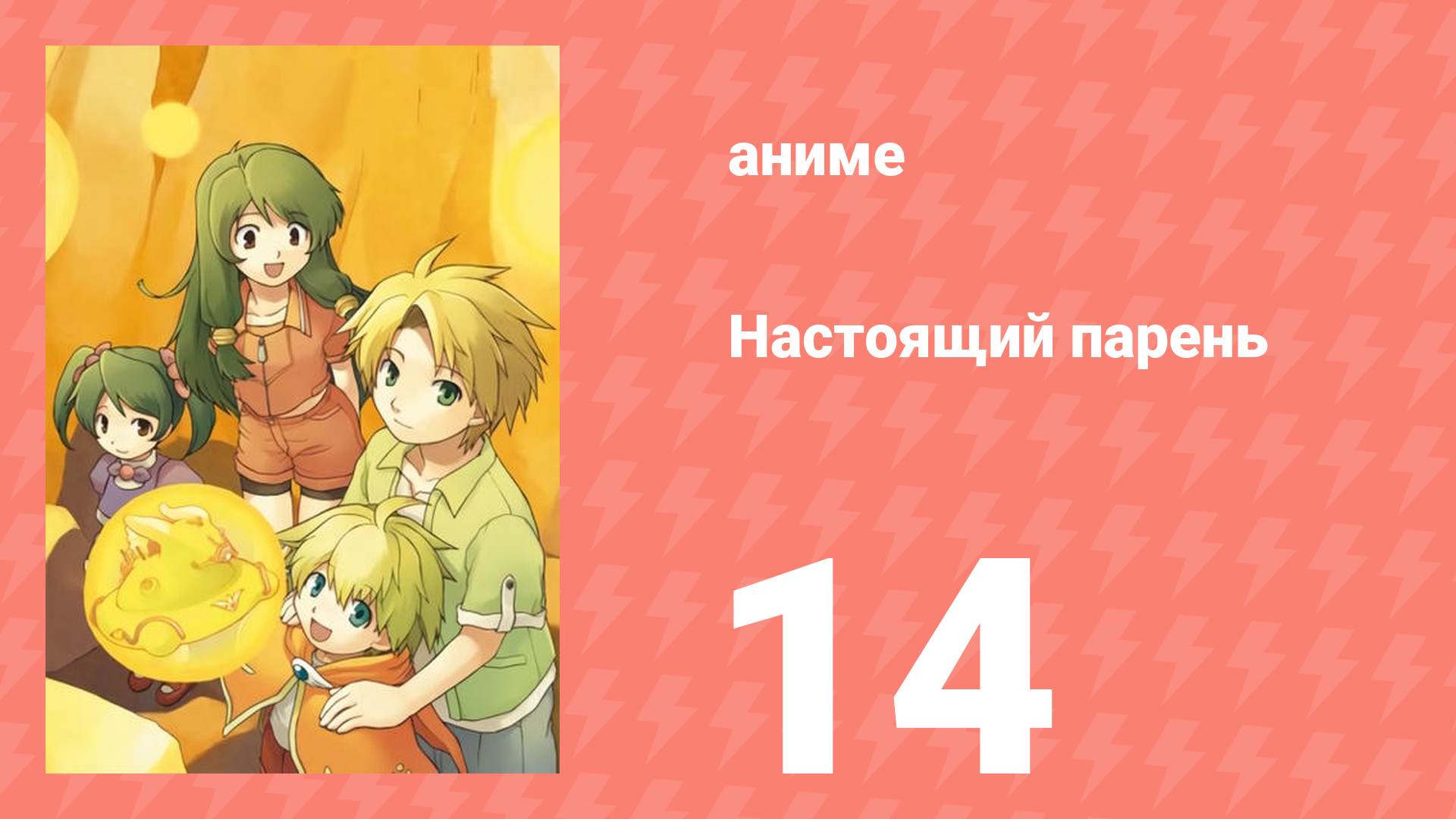 Настоящий парень 14 серия (аниме-сериал, 2005)