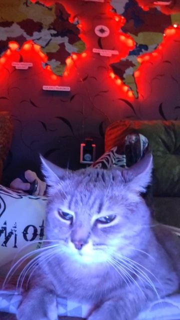 нам нужена ваша помощь