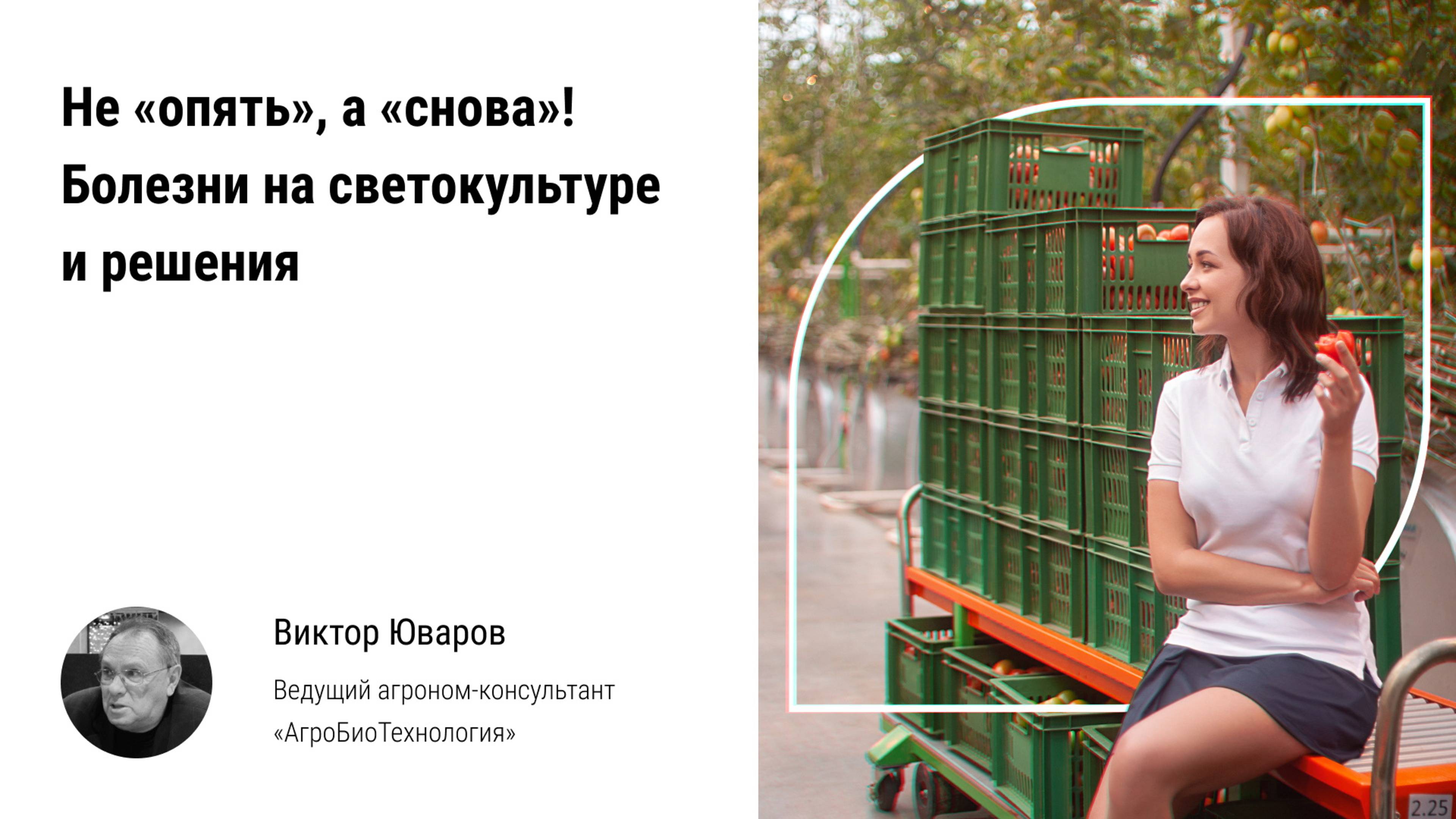 🏃 Не опять, а снова! Болезни на светокультуре, решения. Вирусы томата, огурца, бактериозы в теплице