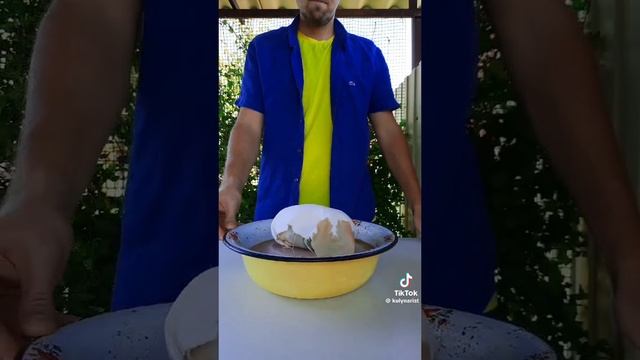 Кабачки со вкусом шашлыка на зиму