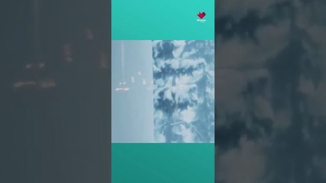 Поёт Людмила Зыкина