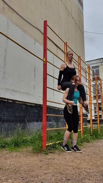 Шведская стенка