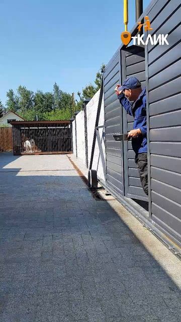 Место! И в отпуск!