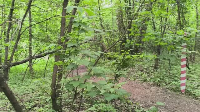 0лeньи выхoдныe часть 3