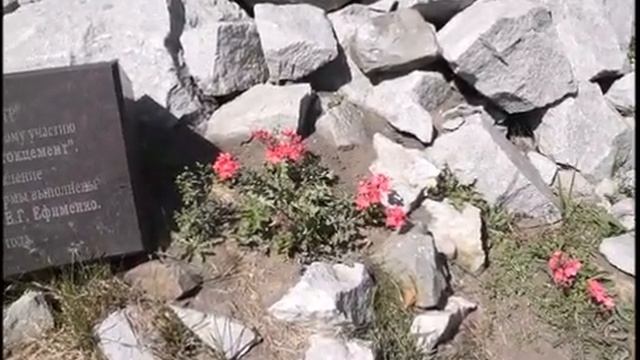 Памятник  тигру.