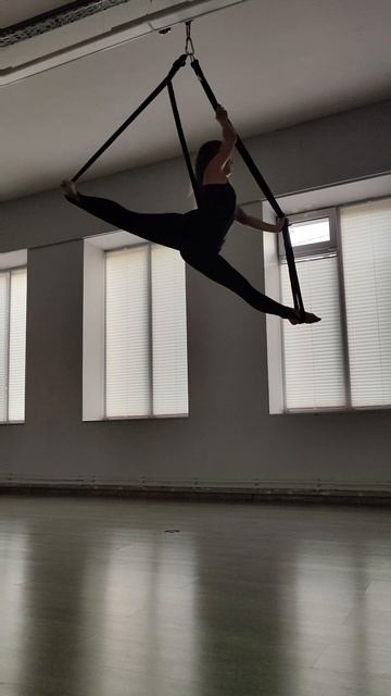 Aerial Loops/Воздушные ремни