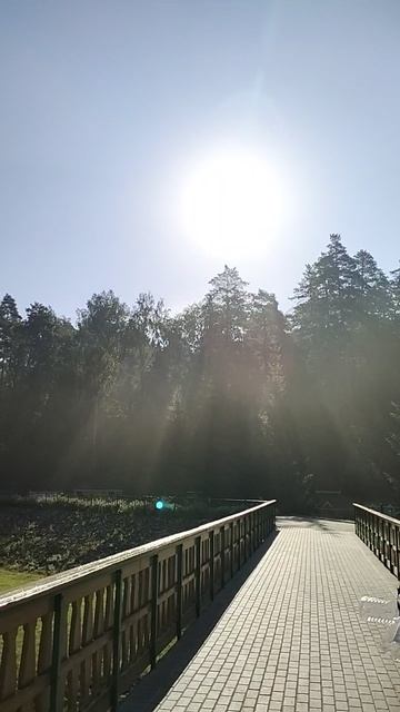 ЧУДЕСА ДИВЕЕВСКОЙ ЗЕМЛИ😍 НИЖЕГОРОДСКАЯ ОБЛАСТЬ