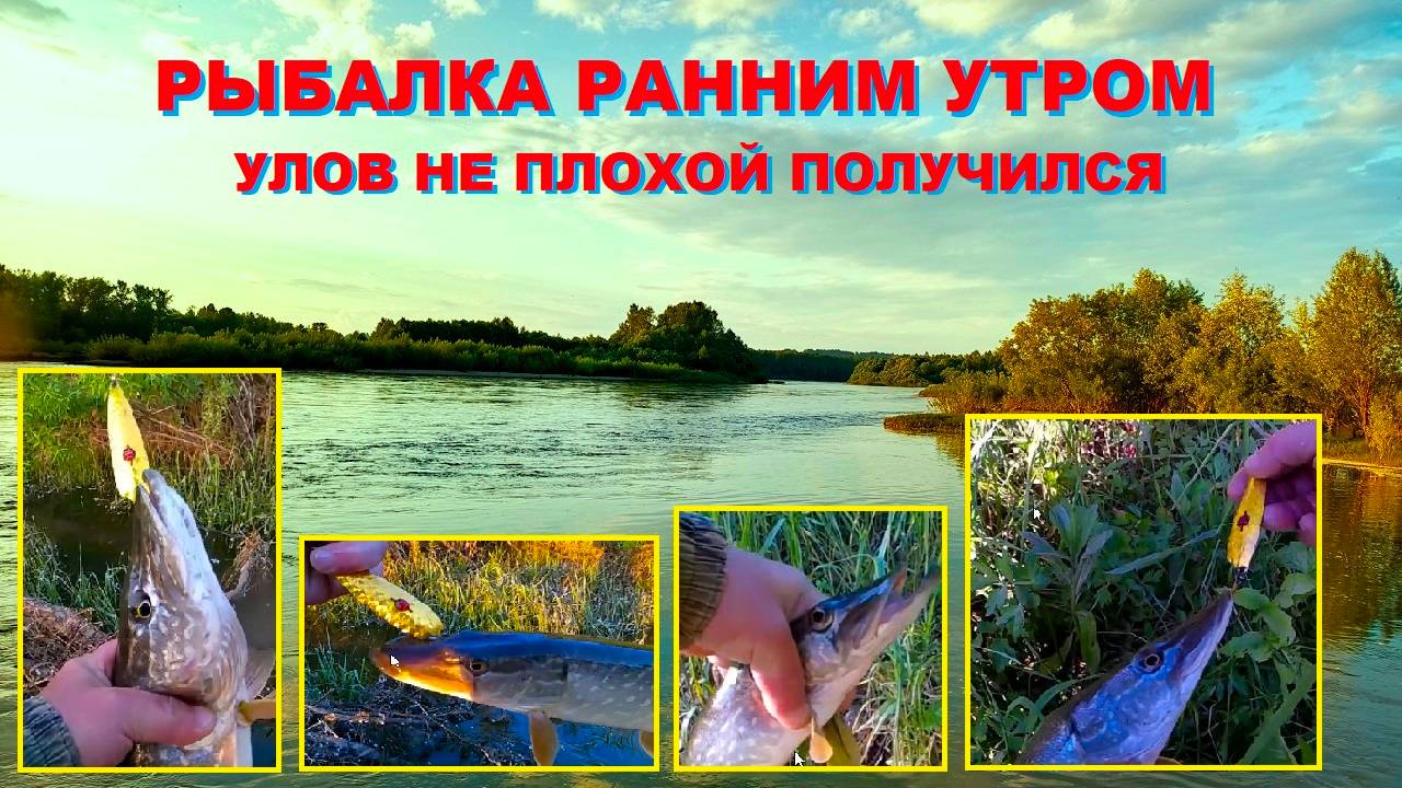 Рыбалка на щуку ранним утром. Улов не плохой получился