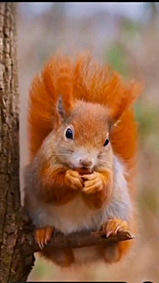 Красота природы спасет мир! #shorts