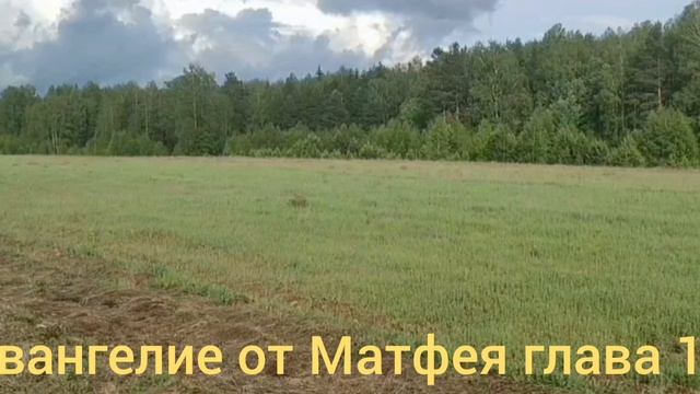 Библия Евангелие от Матфея глава 12