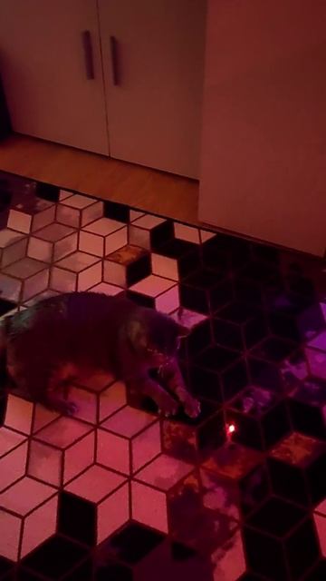 Куда уходить молодость