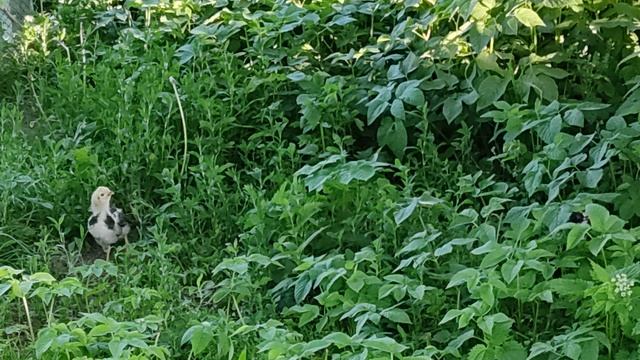 Ох, не выдержало материнское сердце!