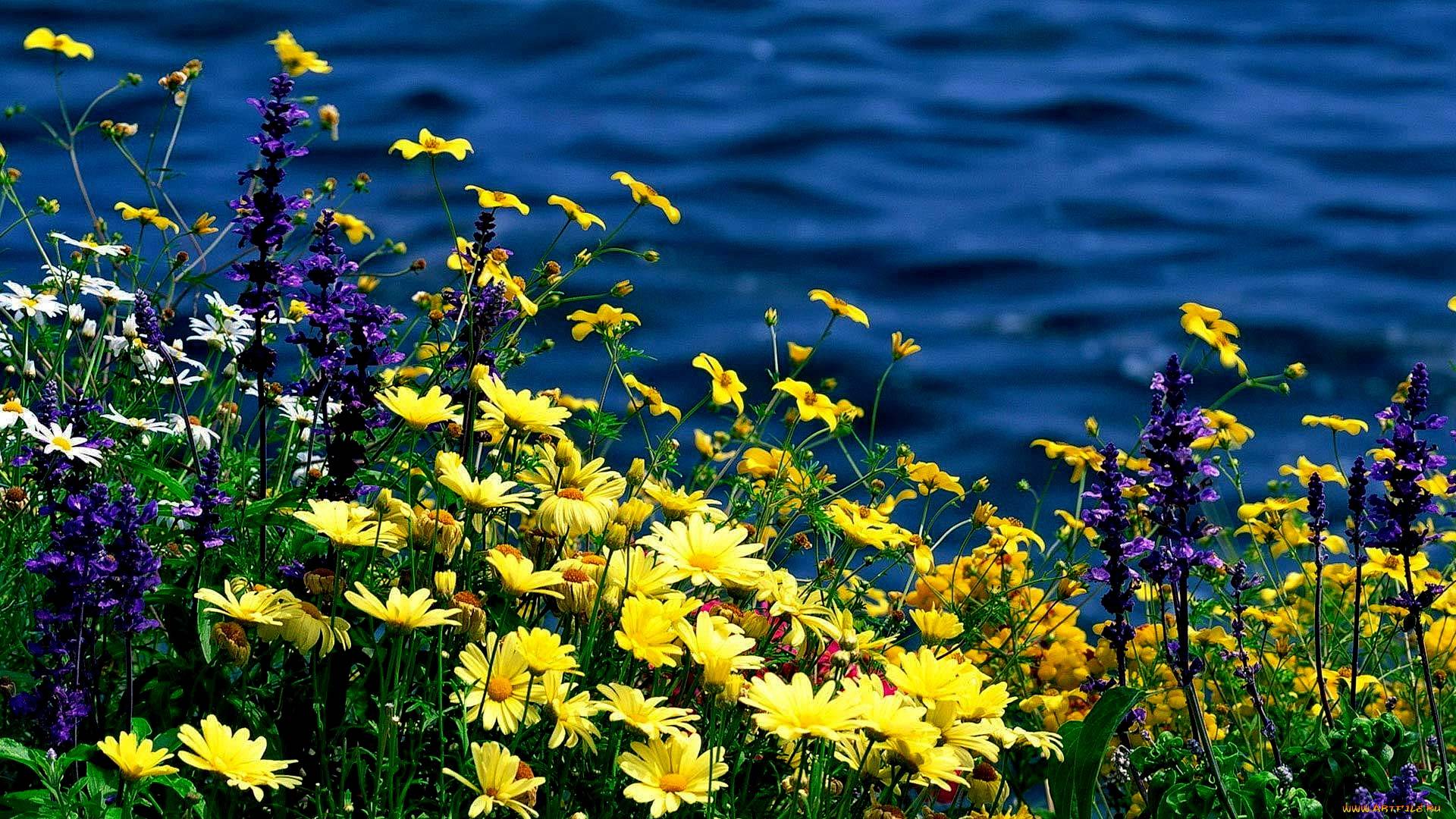 Летом весело