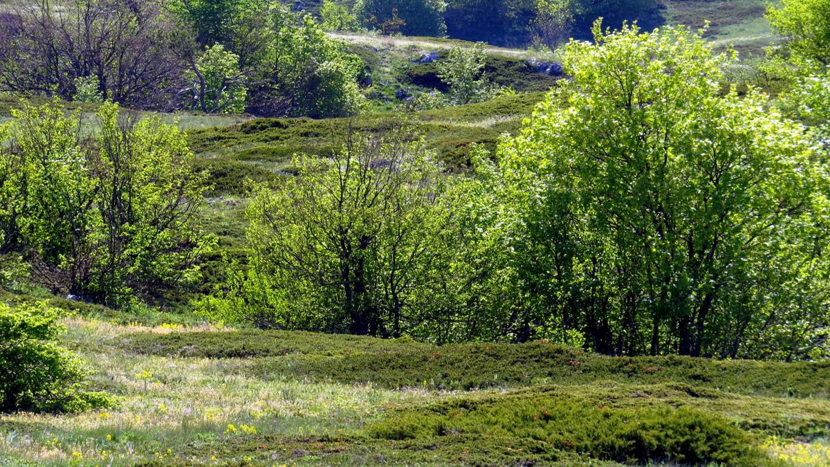 Спуск с верхнего плато Чатыр-Дага вниз и до заката.