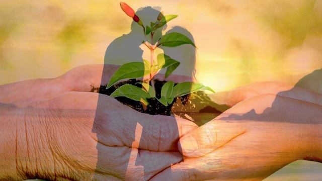 Немного о любви