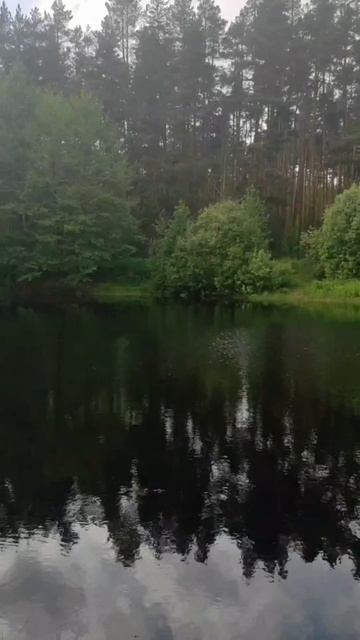 (1) Евангелие от Матфея глава 1 стих 18-25