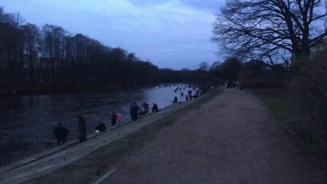 2020 год . Сестрорецк. Корюшка.