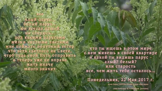 Алый парус читает Дарья ПАВЛОВА Онлайн-студия «Дом звука»