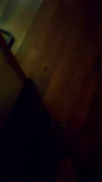 выйду ночью в кухню с котом..