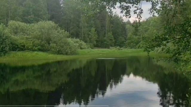 Библия Евангелие от Матфея глава 19