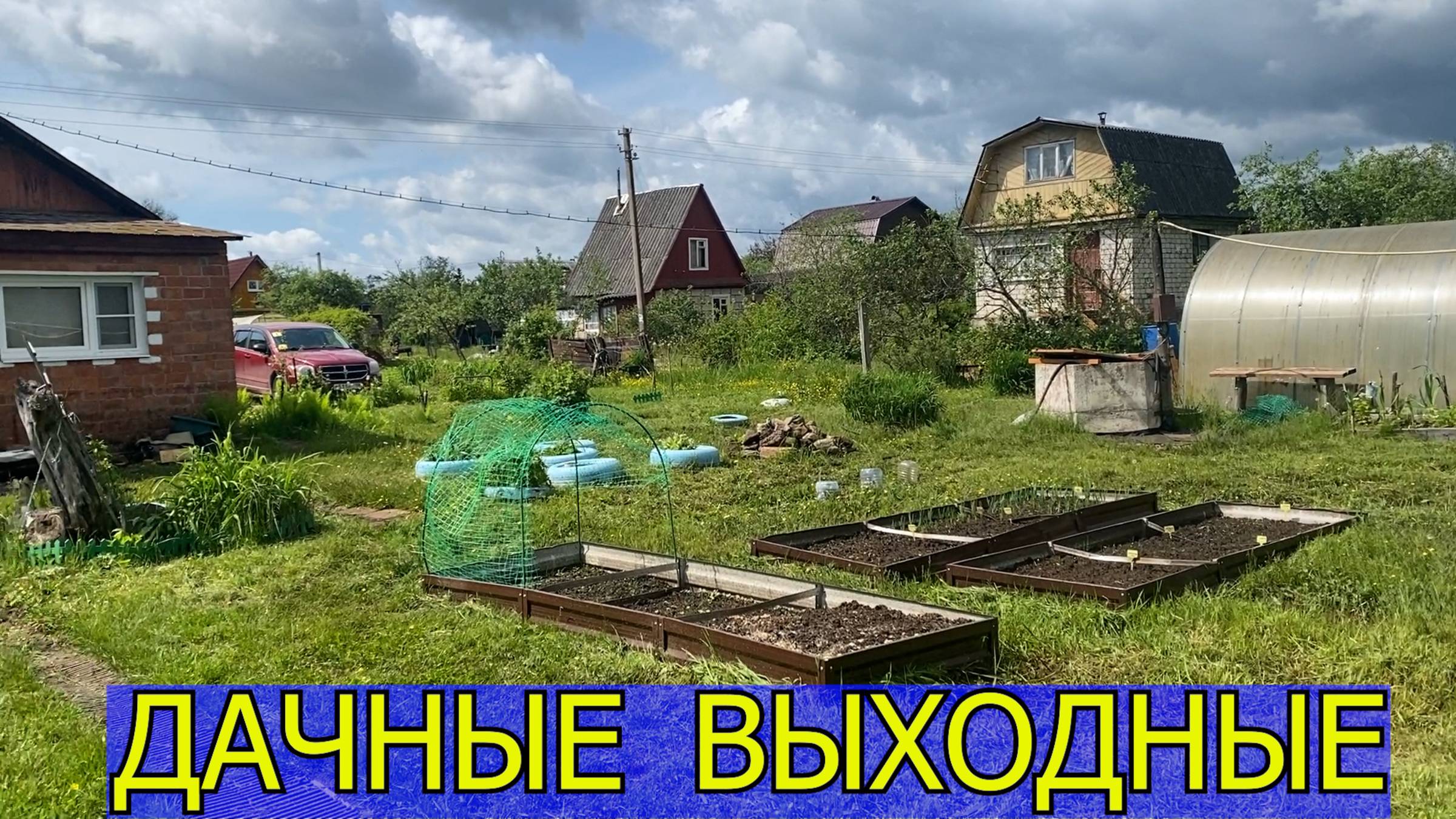 07.06.25 дачные выходные // великий покос // цветы на болоте // право на мечту