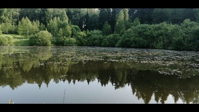 Караси.Отвёл душу.