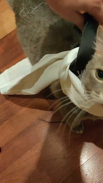 Чёрный Плащь