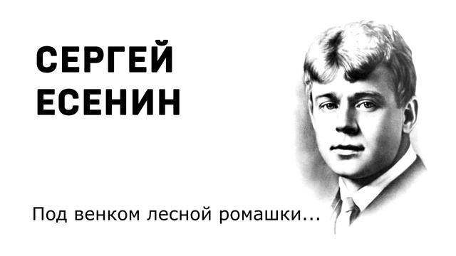 Сергей Есенин Под венком лесной ромашки