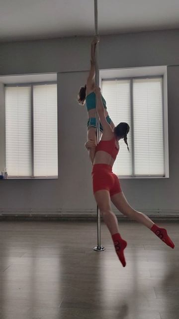 Pole Dance Duo/Пилон дуэт