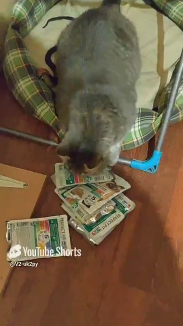 Карупция любимая моя!!