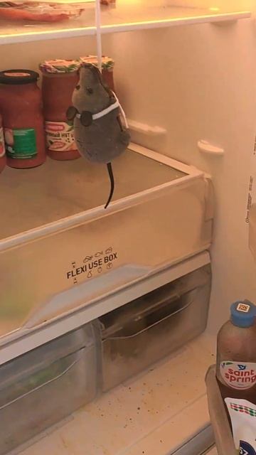 Мышь повеселась