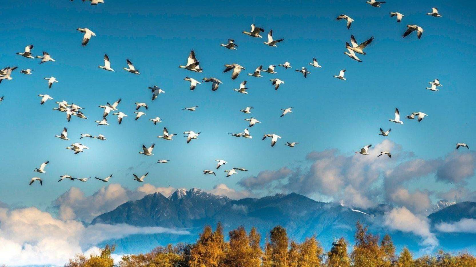 Вадим Утемесов – Хочу дышать (2025, AI SUNO)