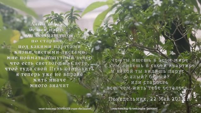 Алый парус  читает Александр ТАТАРИНЦЕВ студия «RecSquare»