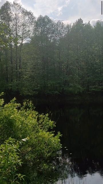 (2) Евангелие от Матфея глава 3 стих 1-3 и 11-17