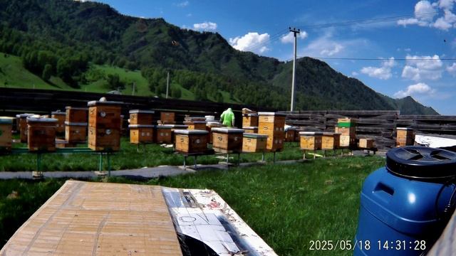 2025_0518_142630_048