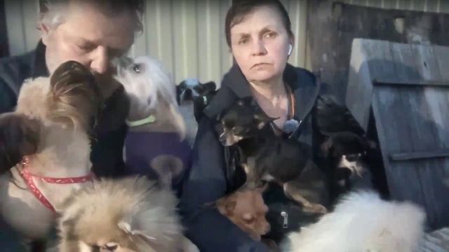 Запись стрима 6 июня