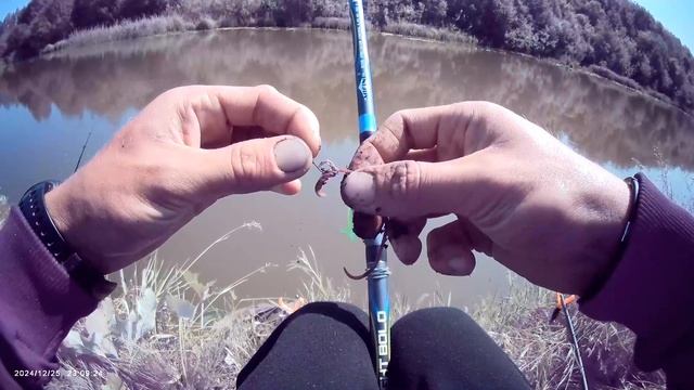 Порыбачил немного на реке Усень🎣 Ловля на полудонку на навозного червя🪱 Прикормил своей прикормкой