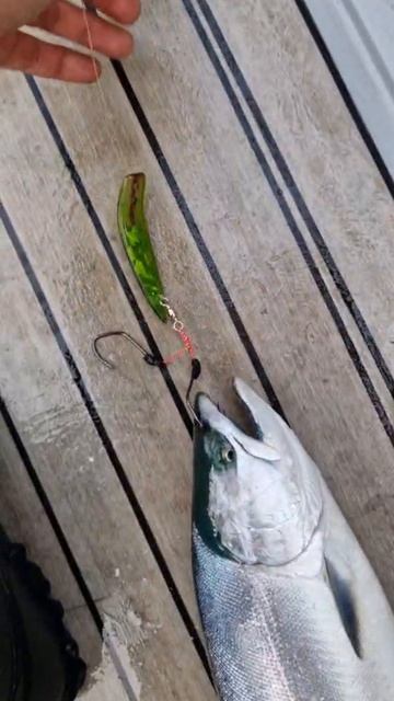 Воблер 110 мм 36 гр №18 от Mr.Musurok в деле 🎣