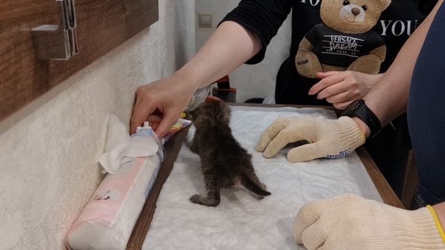 Второе закапывание глаз