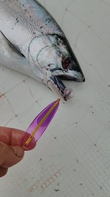 Раманычу, спасибо за отчёт 🤝