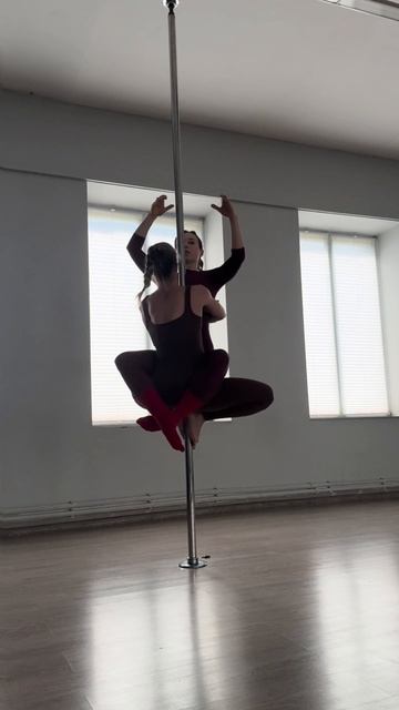Пилон дуэт/Pole Dance Duo