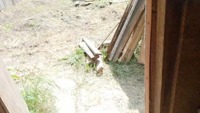 Дача. Что за забором? Изменения в бане. всходы.