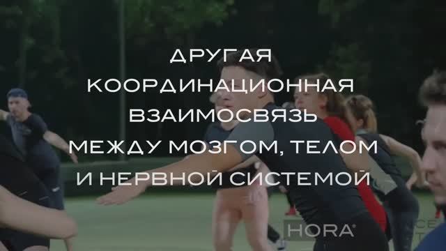 Развитие по законам сознательной эволюции. Цитаты Мастера ХОРА